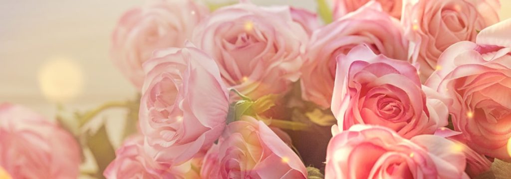 Comment faut-il interpréter la couleur des roses